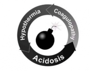 "Damage Control" : Eviter la triade létale - ENTRAIDE ESI IDE