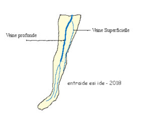 La phlébite - ENTRAIDE ESI IDE