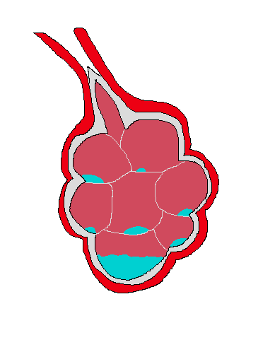 Archives des OAP - ENTRAIDE ESI IDE